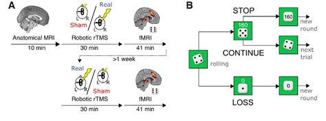 Figure From Linking Impulsivity To Activity Levels In Pre