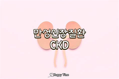 만성 신장 질환 Ckd 원인과 증상 치료방법에 대해 알아보자