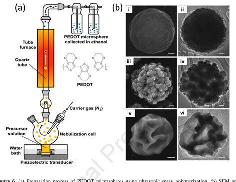 Figure 1 From Development Strategies Of Conducting Polymer Based Electrochemical Biosensors For