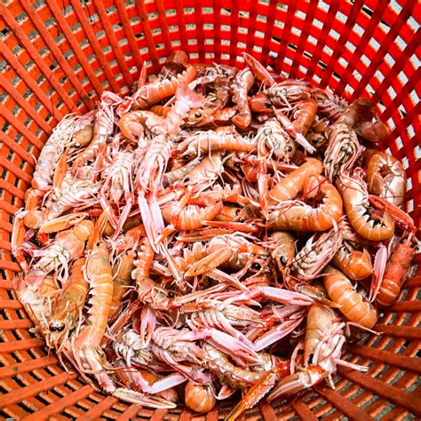 Overnatning Anholtdk