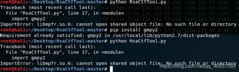 Kali下rsactftool的安装及使用rsactftools Csdn博客
