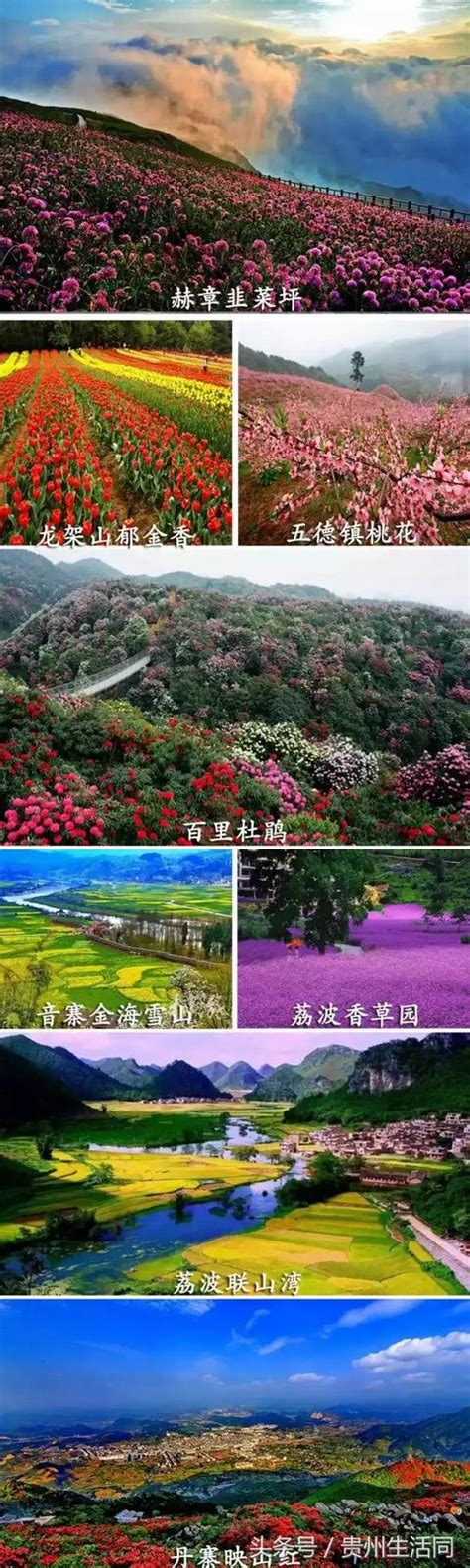 最強「貴州大全」來了！以後再也不用擔心被問貴州有什麼了！ 每日頭條