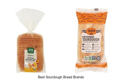 Top Sourdough Bread Brands You Must Try Bread And Wine Restaurant