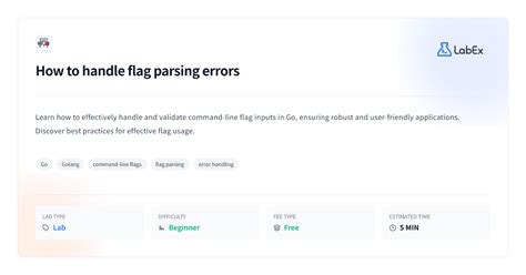 How To Handle Flag Parsing Errors Labex