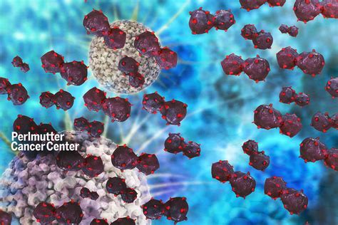 Fiercebiotech Perlmutter Cancer Center Doctor Discusses Clinical Trial