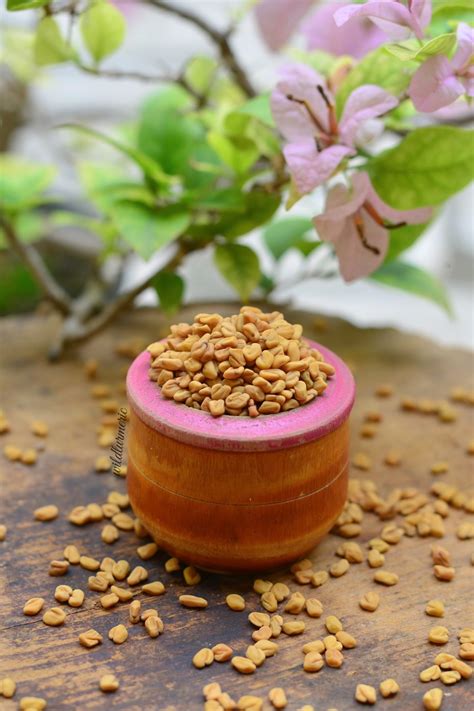 Fenugreek Benefits For Men Improves Testosterone And Blocks Dht