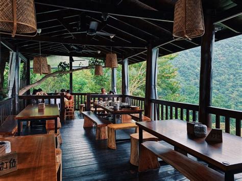 阿里山美食推薦嚴選6間必訪阿里山特色餐廳喜愛品嚐美食的你絕對不可錯過 好好玩FUNIT 2025