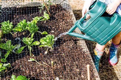 Gallery Lodge Farm Nursery School