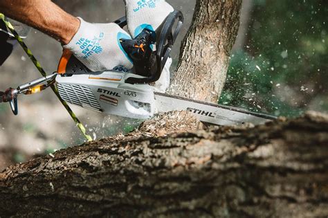 Stihl Chainsaws In Sydney Stihl Shop Stanmore