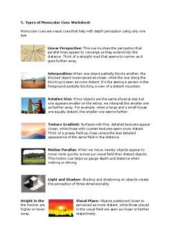 Types Of Monocular Cues