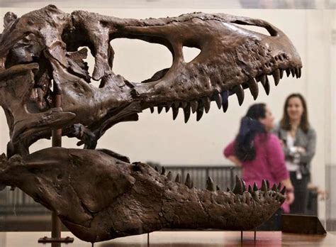 Treasure Trove Of 85 Well Preserved Dinosaur Footprints Discovered