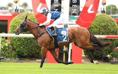 Felix The Scat Heads Odds For The Grand Prix Stakes