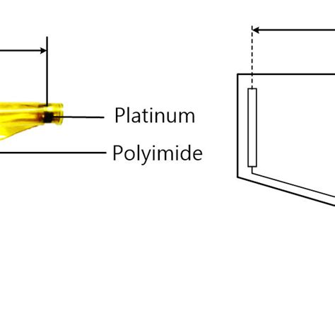 Nerve Cuff Electrode A Photographic Image And B Schematic Image Download Scientific Diagram
