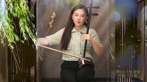 孟晓旭老师二胡演奏（卧虎藏龙）主题曲《月光爱人》 音乐视频 搜狐视频