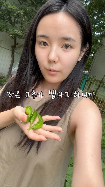 작은데 왜 안매웠을까 Youtube