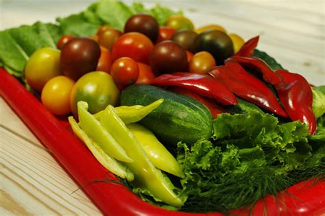 건강 한 식습관에 대 한 여러 원시 유기농 야채입니다 토마토 오이 고추와 상 추 닫습니다 가을에 대한 스톡 사진 및 기타 이미지
