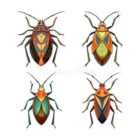 Realistic Color Illustration Of Squash Bug Stock Vector Illustration
