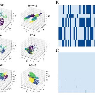 PDF BmVAE A Variational Autoencoder Method For Clustering Single Cell Mutation Data