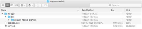 How To Package Angular App With Nodejs Backend For Production The