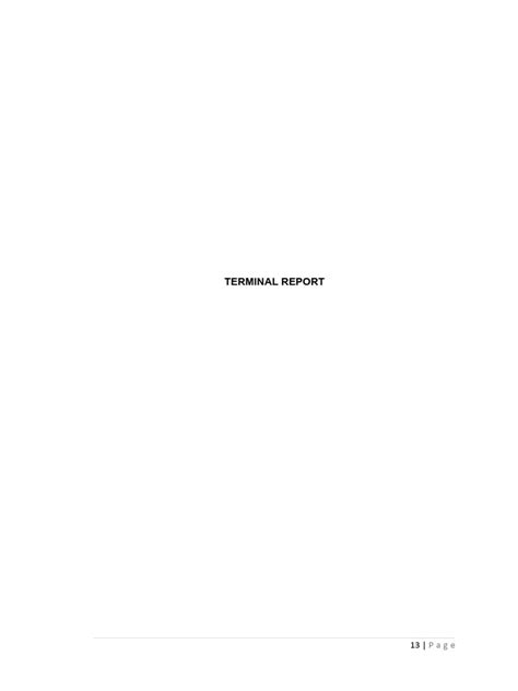 final terminal report pdf