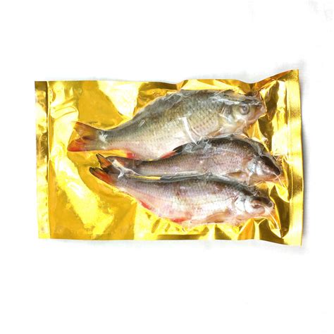 Roach Dead Bait Willy Worms