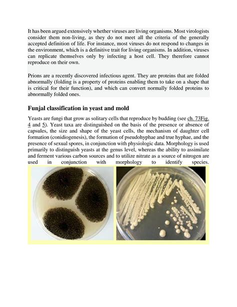 SOLUTION Introduction To Microbiology Studypool