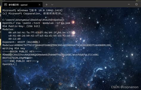 攻防世界 · Rsa · Wpprivatekey Rsaprivatekeyn E D P Q Csdn博客