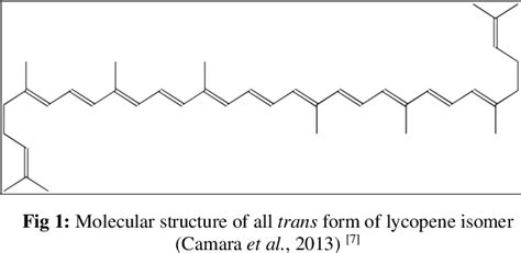 Lycopene Structure