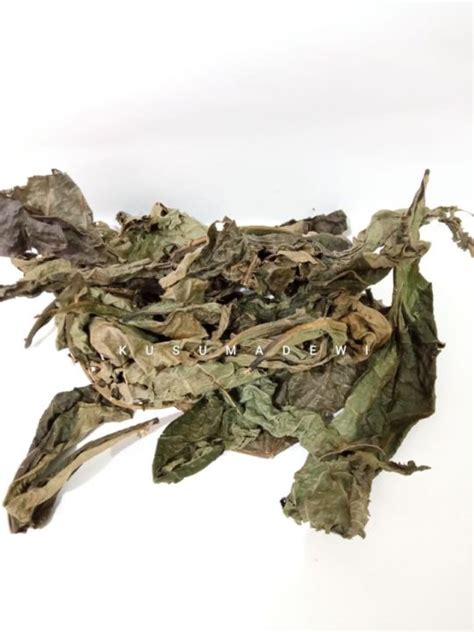 Daun Srigunggu Kering Tanjau Handak 50 Gram Lazada Indonesia