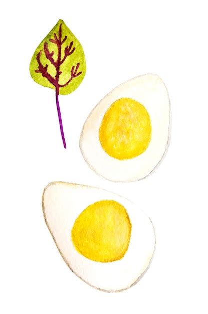 Premium Vector Half Boiled Egg