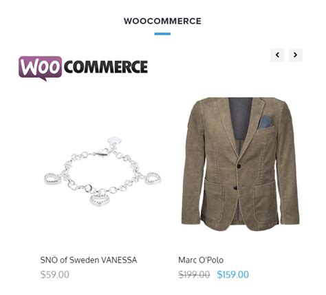 Memperkenalkan StorePro Tema ECommerce WordPress Minimal Dan Modern