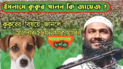 ইসলামে কুকুর পালন কি জায়েজ কি কুকুরের বিষয়ে জানলে আপনি অবাক হয়ে