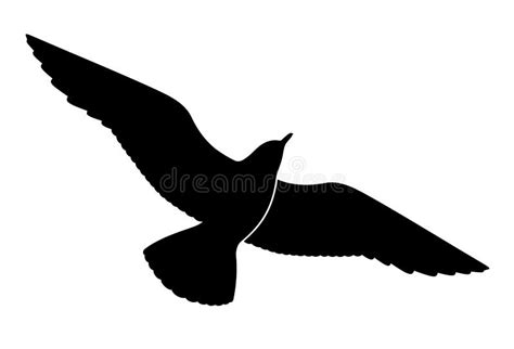 Silueta De La Gaviota En El Fondo Blanco Ilustración del Vector