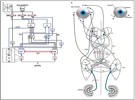 Current Opinion In Neurology
