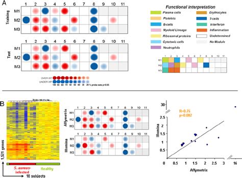 Module Analysis Identifies A Specific Gene Expression Profile In The Download Scientific