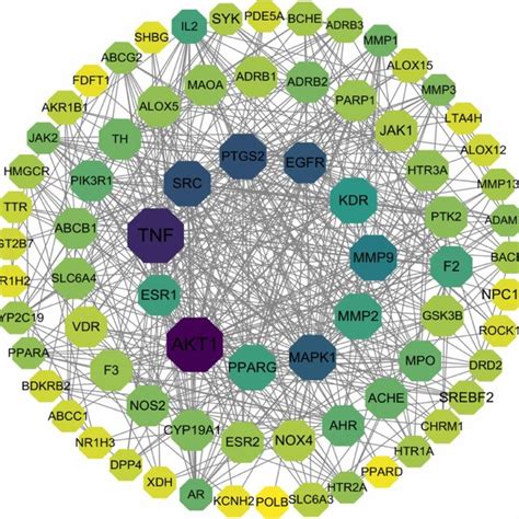 Core Targets Of N Nucifera Leaves In Treating Atherosclerosis Download Scientific Diagram
