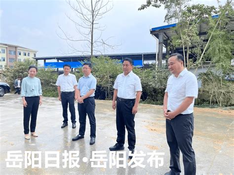 市委书记“四不两直”开展调研，都看了什么，说了什么？生态问题整改