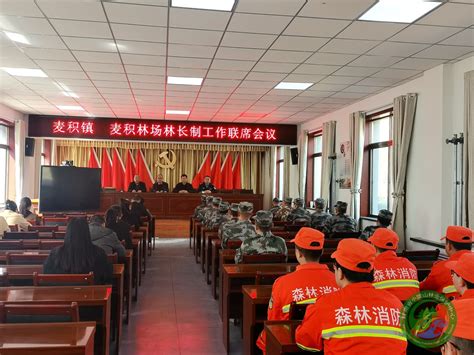麦积林场联合麦积镇及麦积森林派出所召开林长制联席会议 麦积林场 甘肃省小陇山林业保护中心官方网站