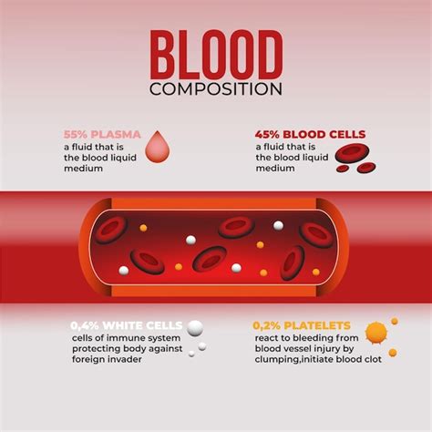 Free Vector Gradient Blood Infographic