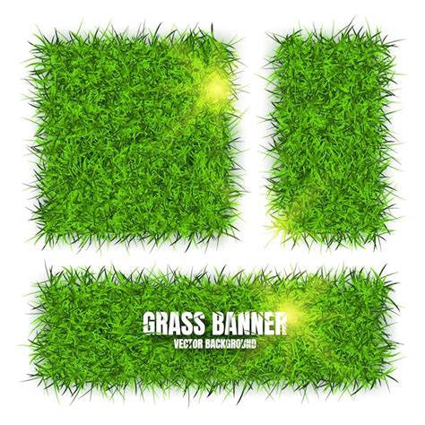 Green Grassy Land Vectors And Illustrations For Free Download