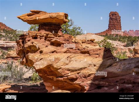 La formation de grès de Cedar Mesa érodée par les bizarragues se