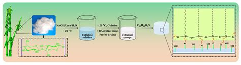 Fabrication Of Superhydrophobicsuperoleophilic Bamboo Cellulose Foam