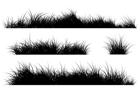 Grass Silhouette Png