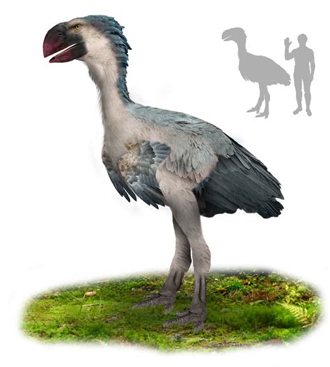 Gastornisgallery Dinosaur Wiki Fandom Powered By Wikia