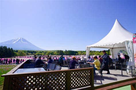富士山の麓で春を感じよう！1日たっぷり花を楽しむ散策モデルコースで休日を満喫！