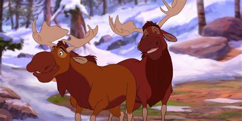 10 Cosas Que No Sabías Sobre El Hermano Oso Cultture