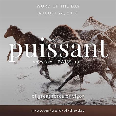 Reposting Merriamwebster Puissant Is The Wordoftheday