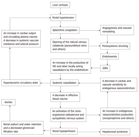 2000 Ml Fluid Restriction Chart Ponasa