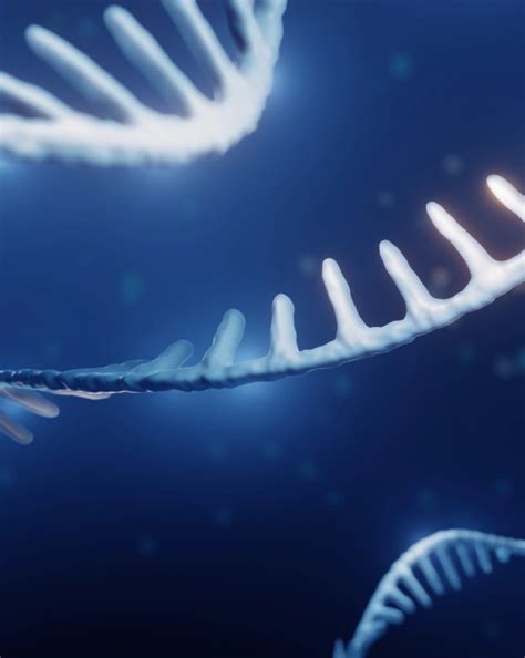 Lc Ms Bioanalysis Of Oligonucleotide Ion Pair Chromatography
