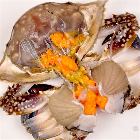 산지직송 당일조업한 활꽃게 1kg 알배기 암꽃게 4 7미 홈플러스 택배배송